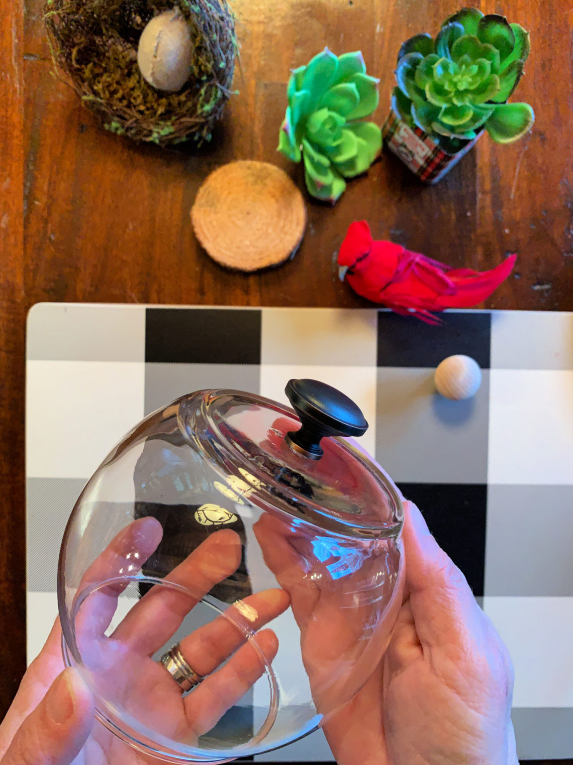 Make Your Own Cloche Decor Craft Project ~ White Arrows Home