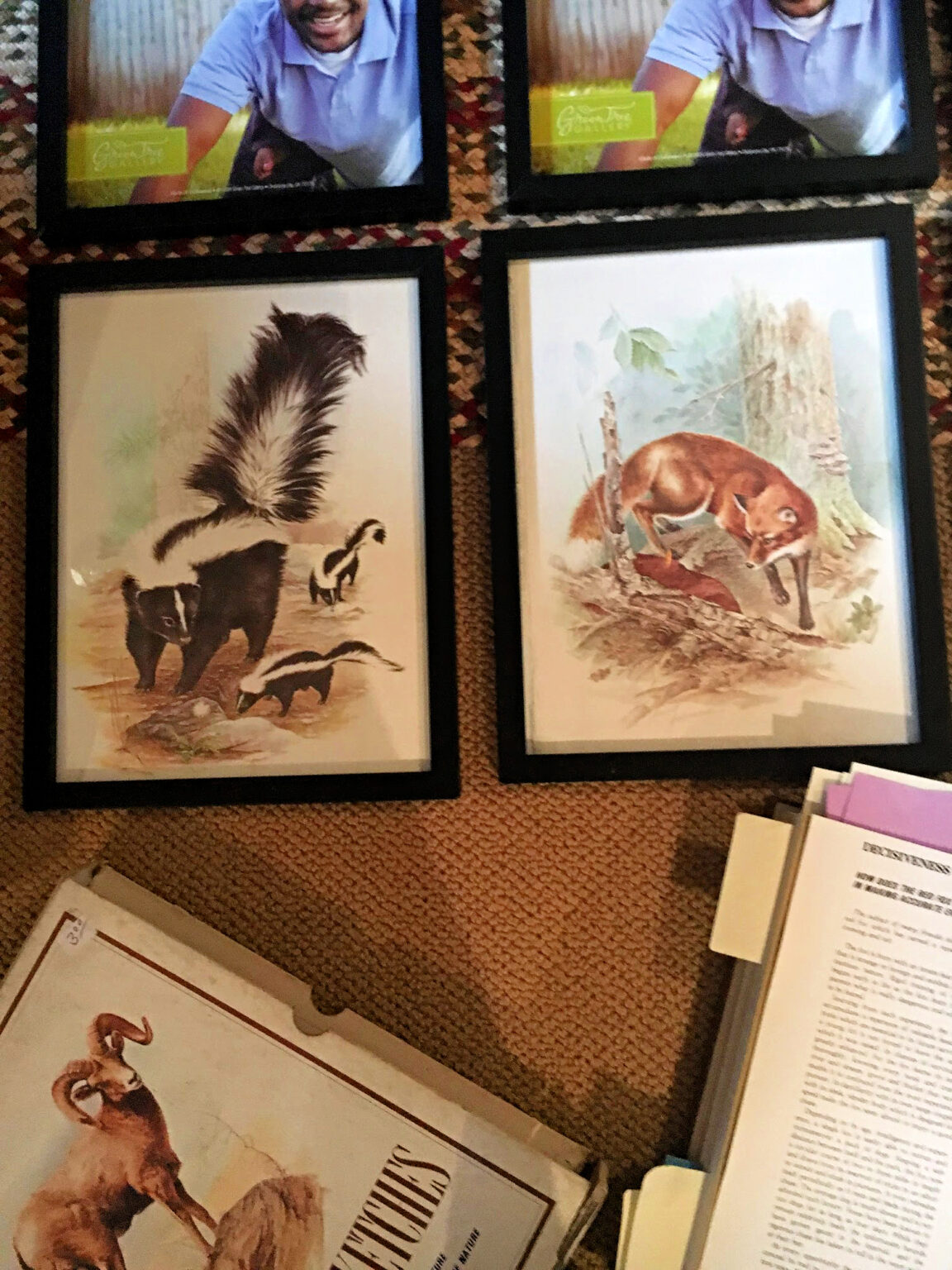 Create a Gallery Wall From a Thrift Store Book ~ White Arrows Home