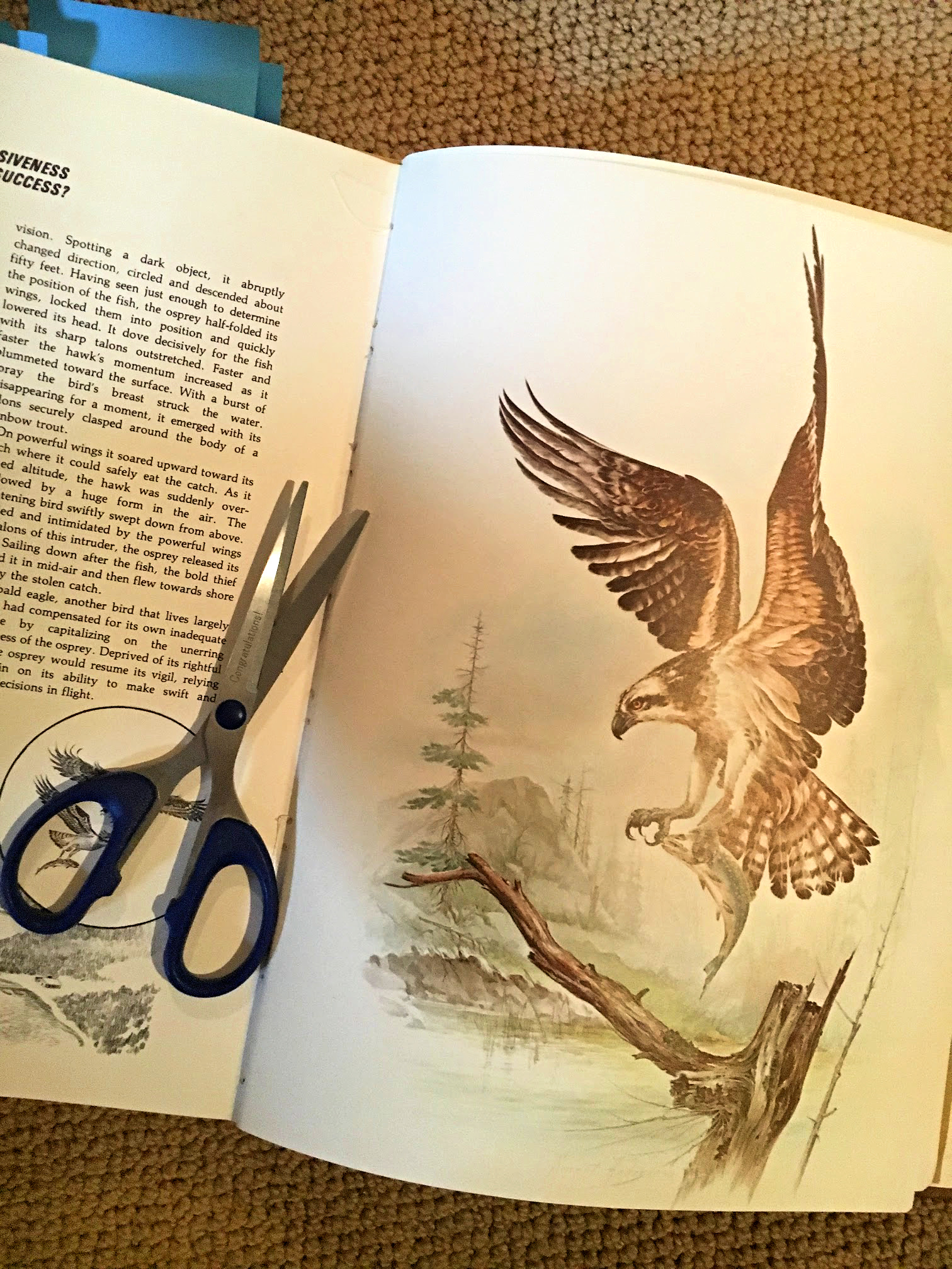 Create a Gallery Wall From a Thrift Store Book ~ White Arrows Home