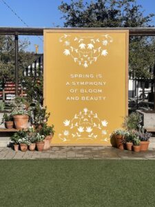 A Visit to Magnolia's Spring at the Silos Pt. 3 ~ White Arrows Home