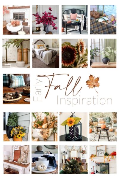 Early Fall Decor Ideas Before Pumpkins ~ White Arrows Home