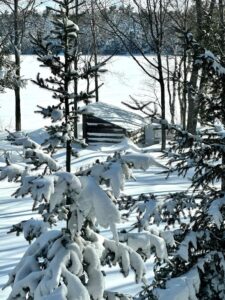 Why I Love Living in the Northwoods of Wisconsin—Even in Winter ~ White ...
