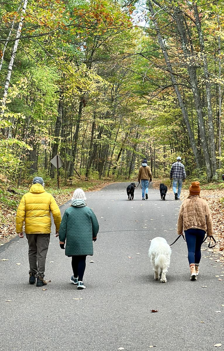 A Walk in Fall ~ White Arrows Home