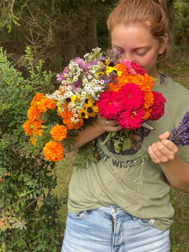 Looking Forward to Planting Gardens: Books and More to Inspire ~ White ...