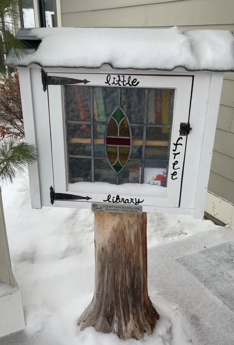 Discover the Magic of Little Free Libraries: Small Boxes, Big Impact ...