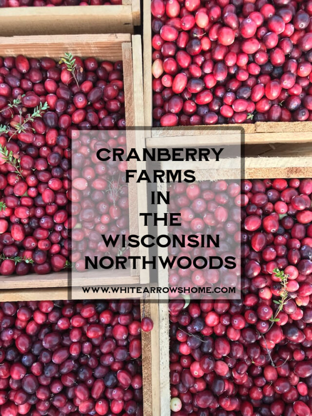 Cranberry Farm Visits In Manitowish Waters, Wisconsin ~ White Arrows Home